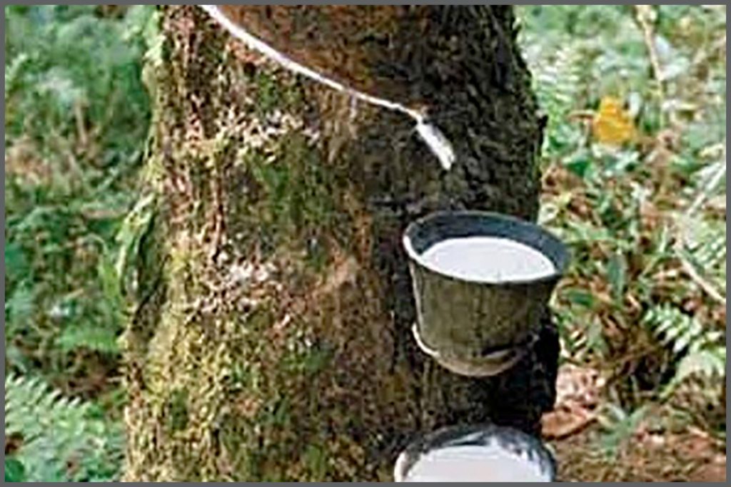 Products - All Australian Rubber and Seals supplying Rubber and Plastic ...